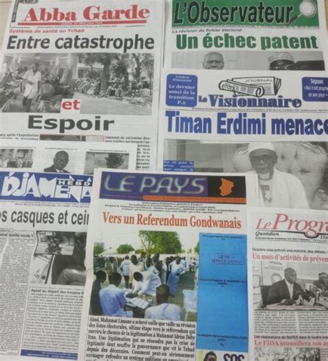 Revue de presse la colère de Timan Erdimi quel bilan dun an du