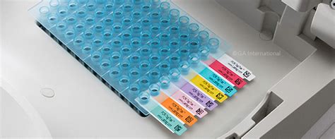 How To Properly Label PCR Tubes QPCR Plates Labtag Blog