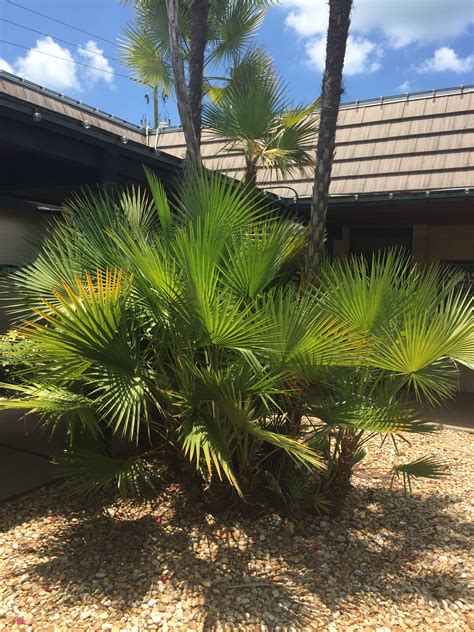 Mapping Images With Exif Php