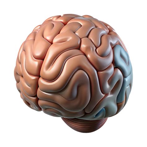 Stunning Artistic Human Brain 3d Model Rotating View Cutout Premium 58035110 Png