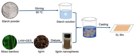 Polymers Free Full Text Sustainable Starchlignin Nanoparticle