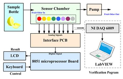 What Is Electronic Nose Enose Working Principle And Applications