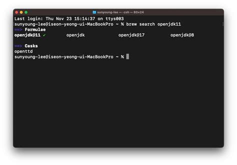 m2 mac 에서 brew 통해 open jdk 11 설치하기