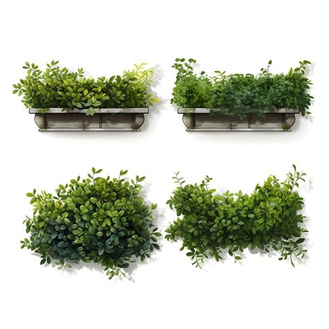 Premium Ai Image A Set Of Holly Shrubs Shaped Into Rectangular