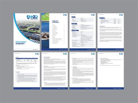 Entry 31 By Felixdidiw For Investment Summary Document Freelancer