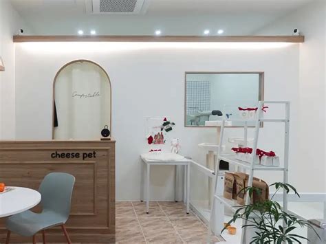 깔끔한 15평 반려견 미용실 인테리어 대구 달성