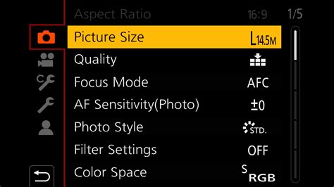 Panasonic Lumix G100 Review