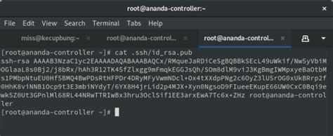 Openstack Launch An Instance Via Dashboard Part Iv Add Ssh Key Jurnal Misskecupbung