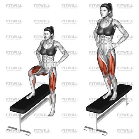 Lateral Step Up Exercise Guide Video Techniques Benefits How To Muscles Worked Tips