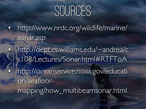 Ocean Sonar By Hannah Ocarroll