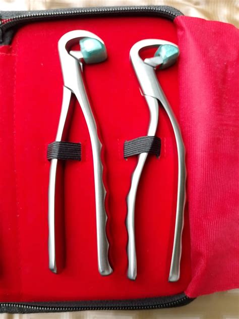 Buy Dental Extraction Physics Forceps Dental Surgery Tool Kit Standard