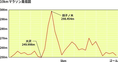 第38回田沢湖マラソン公式webサイト