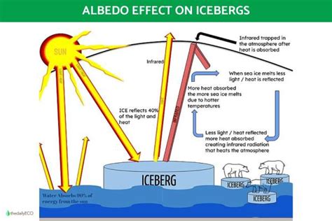 What Is The Albedo Effect On Climate Definition And Effects