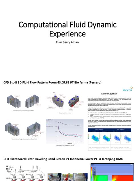 computational fluid dynamic experience pdf