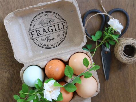 Fragile Eggs Stamp Hatching Eggs Custom Stamp Fragile Eggs Custom