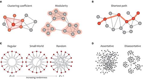 Dr Lighthall Contributes To New Systematic Review Of Graph Theory Dr Lighthall Contributes To New Systematic Review Of Graph Theory