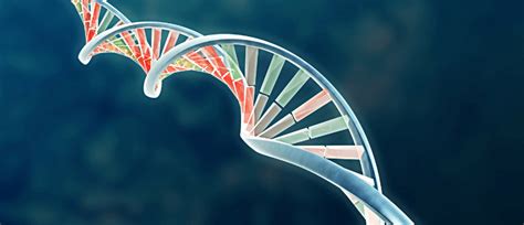 Identifying Immunophenotyping Markers With Flow Cytometry Assays