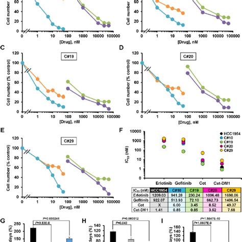 Internalization Of Cetuximab Dm1 In Hcc1954 Cell Line And Hcc Tdm1r