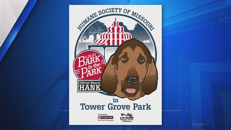 ‘bark In The Park Mascot Contest Winner Revealed Fox 2