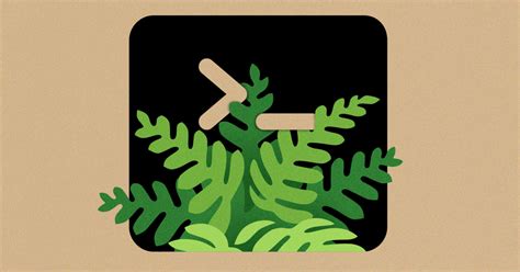 Learnings From Creating A Cli Library Joe Tannenbaum