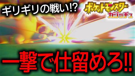 【ポケモンsv】カジッチュ6体で殿堂入りを目指す旅【アオキ編】 Youtube