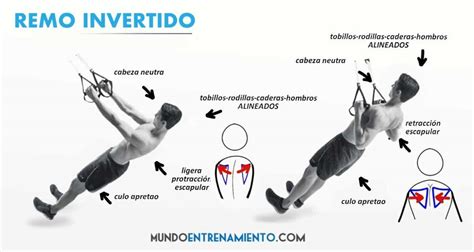 Inverted Row 1 Great Exercise To Improve Pull Ups