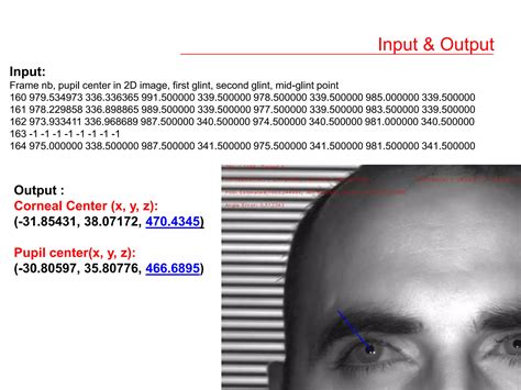 Eyeblink Detection Pptx