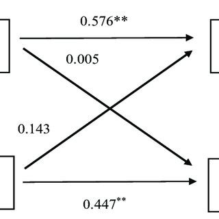 Graphical Representation Of The Tested Actor Partner Interdependence Download Scientific