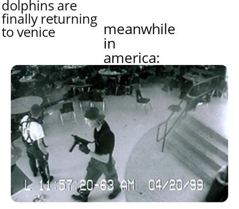 The Fragile Ecosystem Scrolller