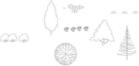Plant And Trees Autocad Blocks Dwg File Cad File