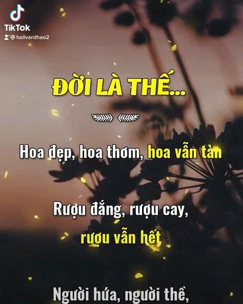 Những Thiên Thần Tàn Stt Hoa đẹp Hoa Thơm Hoa Vẫn Tàn Mùa đông Sẽ Qua