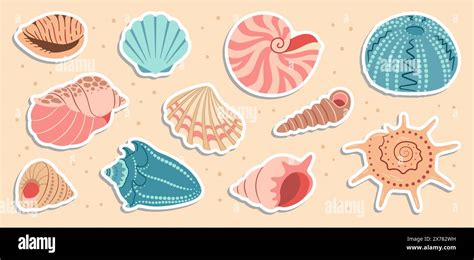 Cute Sea Shells Sticker Set Trendy Flat Style Seashell Collection