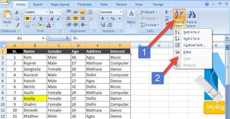 एक्सेल में डेटा को फ़िल्टर करना Data Filter In Excel In Hindi My