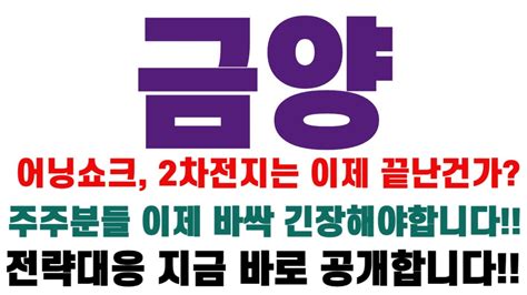 금양 긴급속보 어닝쇼크 2차전지는 이제 끝난건가주주분들 이제 바싹 긴장해야합니다전략대응 지금 바로 공개합니다 Youtube