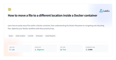 How To Move A File To A Different Location Inside A Docker Container