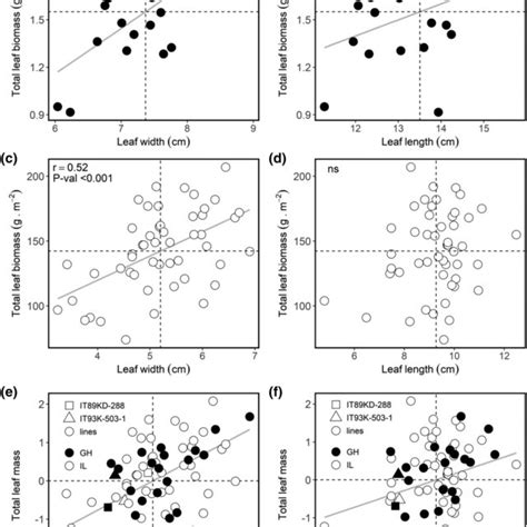 Correlation Between Ace Leaf Width Or Bdf Leaf Length And Total