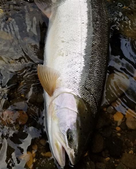 Jonathan Stumpf Jonathanstumpf Twitter