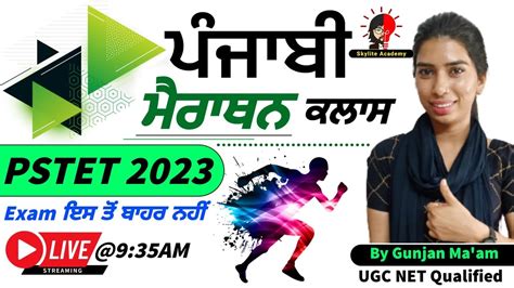 PSTET 2023 PUNJABI MARATHON CLASS Pedagogy Grammar Skylite