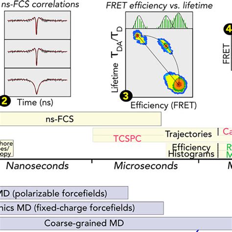 Experiments And Simulations Inform Over A Broad Range Of Timescales Download Scientific