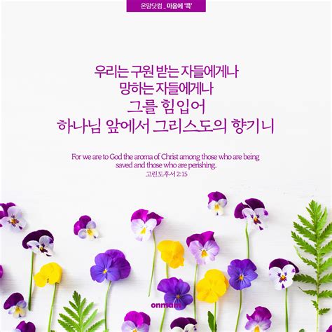 온맘닷컴 온맘닷컴 마음에콕 우리는 구원 받는 자들에게나 망하는 자들에게나 하나님 앞에서