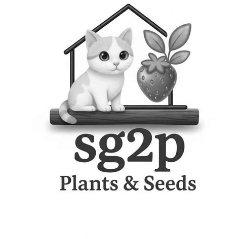 เมล็ดพันธุ์พืชผัก ดอกไม้ เมล่อน และพืชแปลกหายากต่างๆจากต่างประเทศ ทั่วโลก เมล็ดพันธุ์พืชผัก