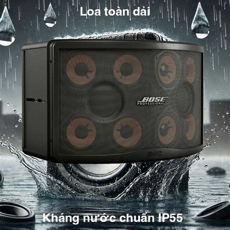 Loa Bose 802 Seri V