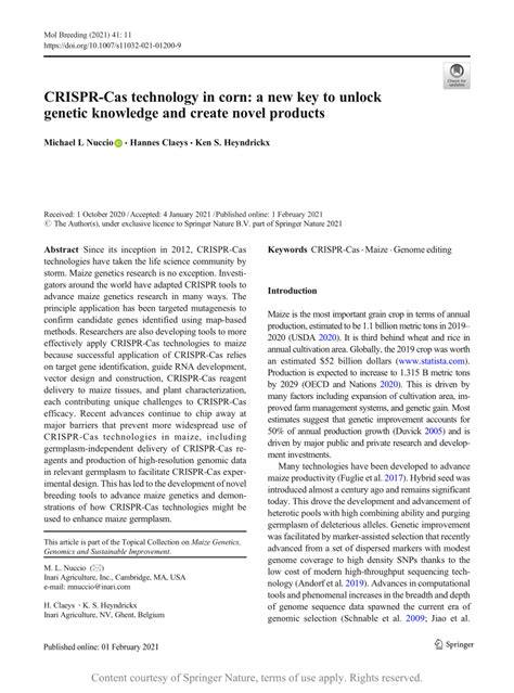Crispr Cas Technology In Corn A New Key To Unlock Genetic Knowledge