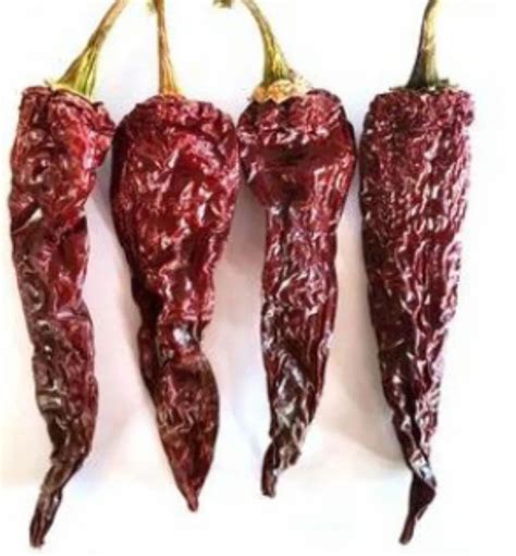 Dabbi Byadgi Dry Red Chilli Gunny Bag Packaging Size 10 Kg At ₹ 195