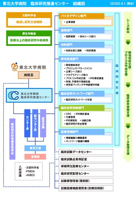 組織スタッフ紹介 東北大学病院臨床研究推進センター