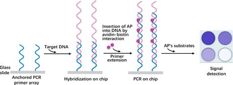 Biosensors For The Detection Of Bacillus Anthracis Accounts Of