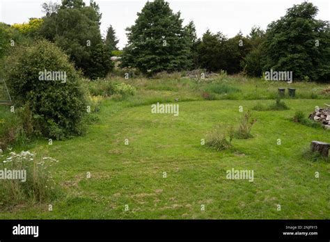 Large Countryside Garden With Trees Stock Photo Alamy