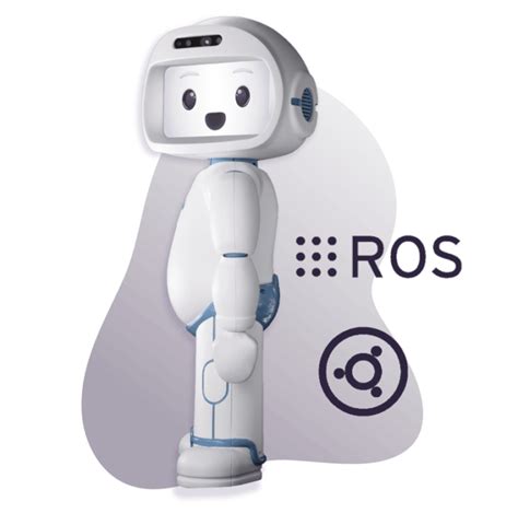 QTrobot For Research Expressive Social Robot For Research