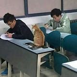 Exams Images Photos Memes Gifs And Pictures Find The Latest On Imgur