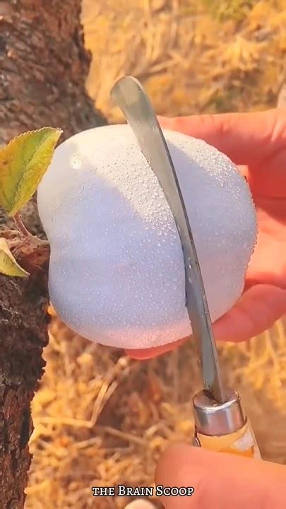 Simple To Tricks Solve Daily Problems Shorts Youtubeshorts Viralshorts Ytshorts Youtube